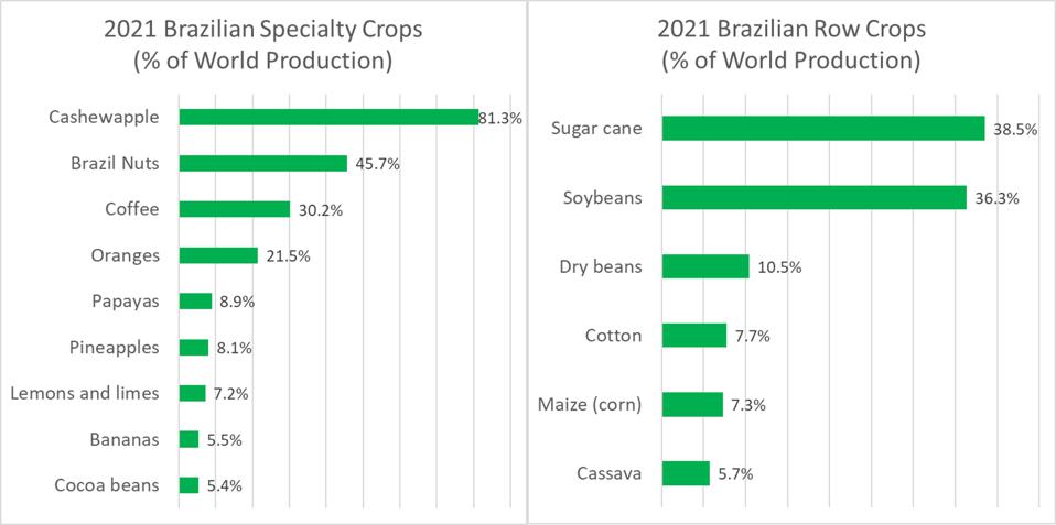 How Brazil Can Use Domestic Fertilizer Production To Ensure Its ...