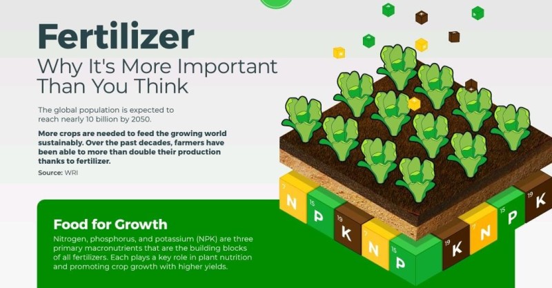 Fertilizer why it’s more important than you think – Brazil Potash